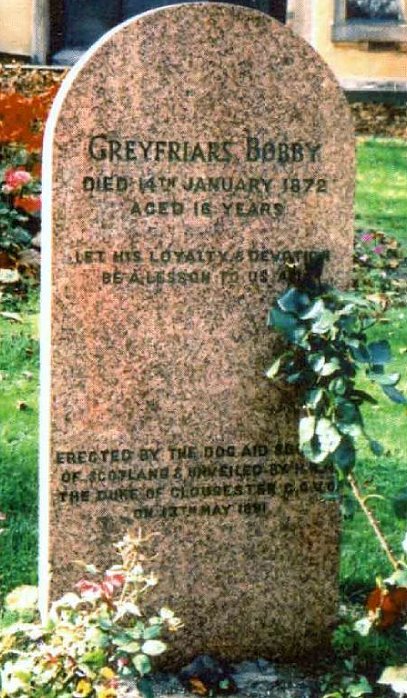 L'histoire émouvante du chien Bobby